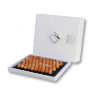 Incubator de oua PL MASCHINE HU140SK | AGROFORTEL.RO